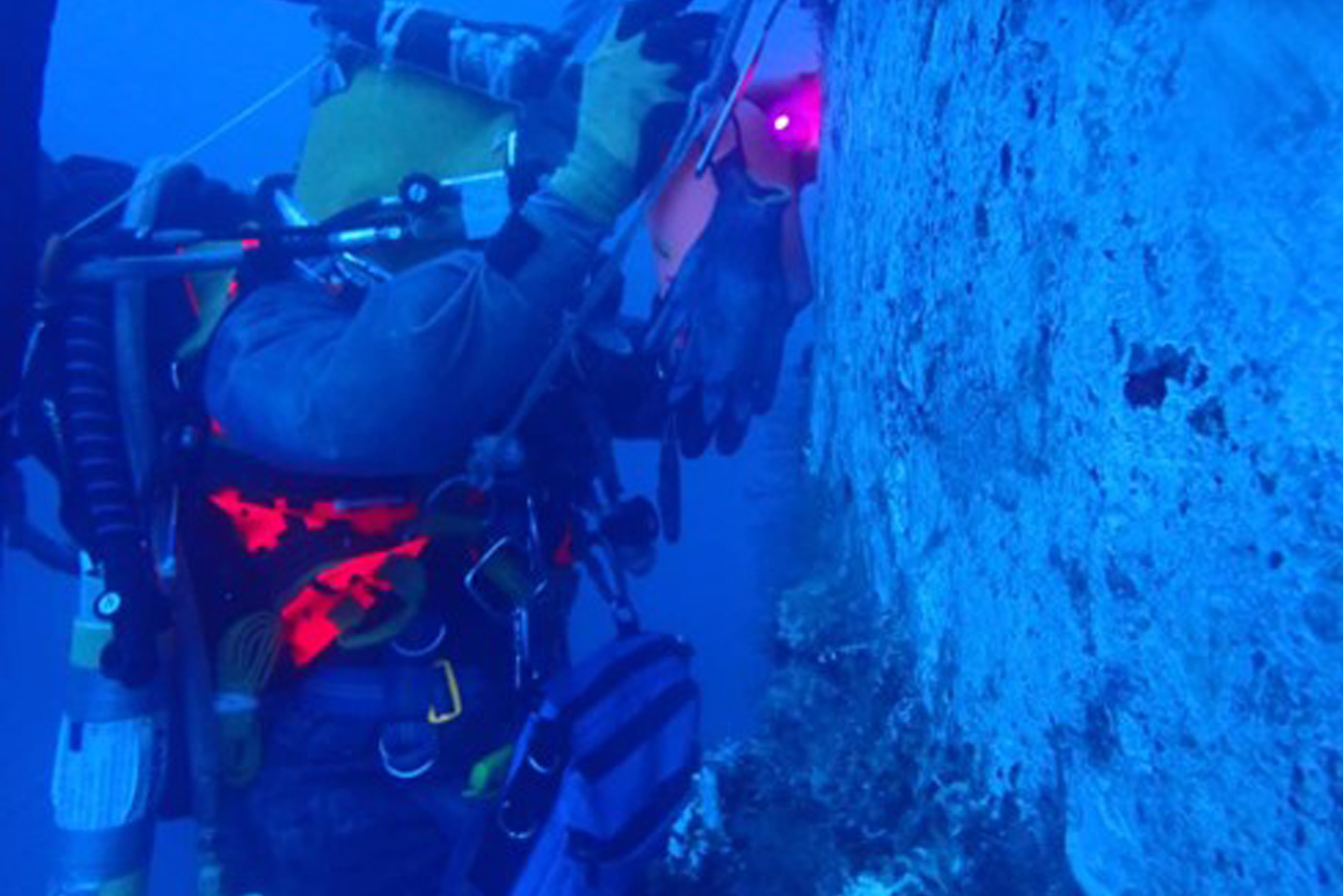 Our Services – QPRONDT